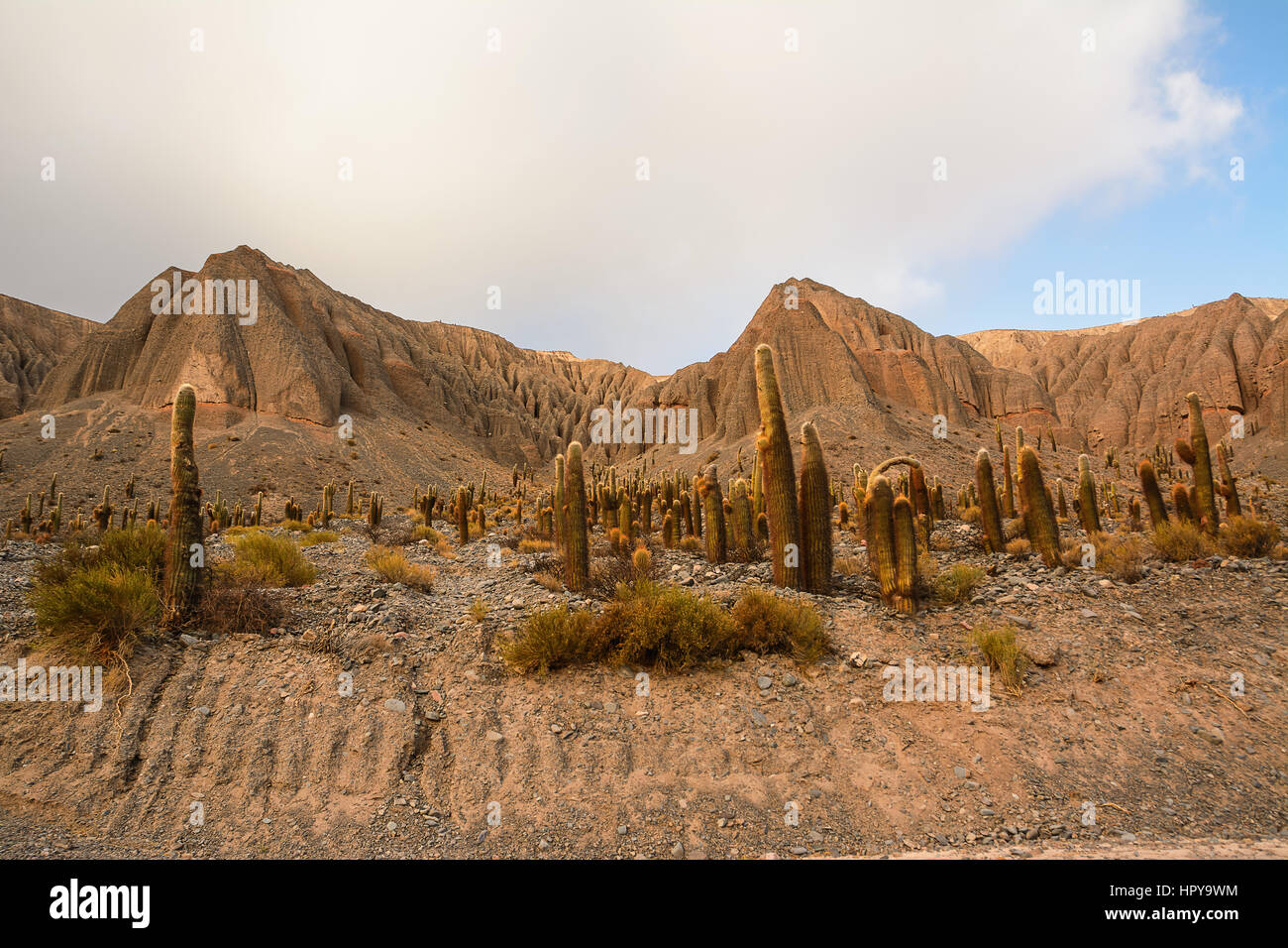 Landscape of the puna desert hi-res stock photography and images - Alamy