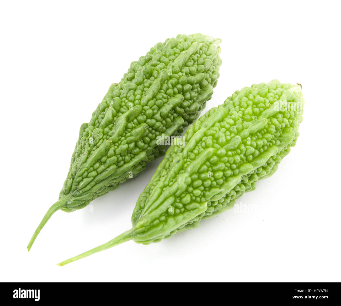 fresh bitter gourd isolated on white background Stock Photo - Alamy