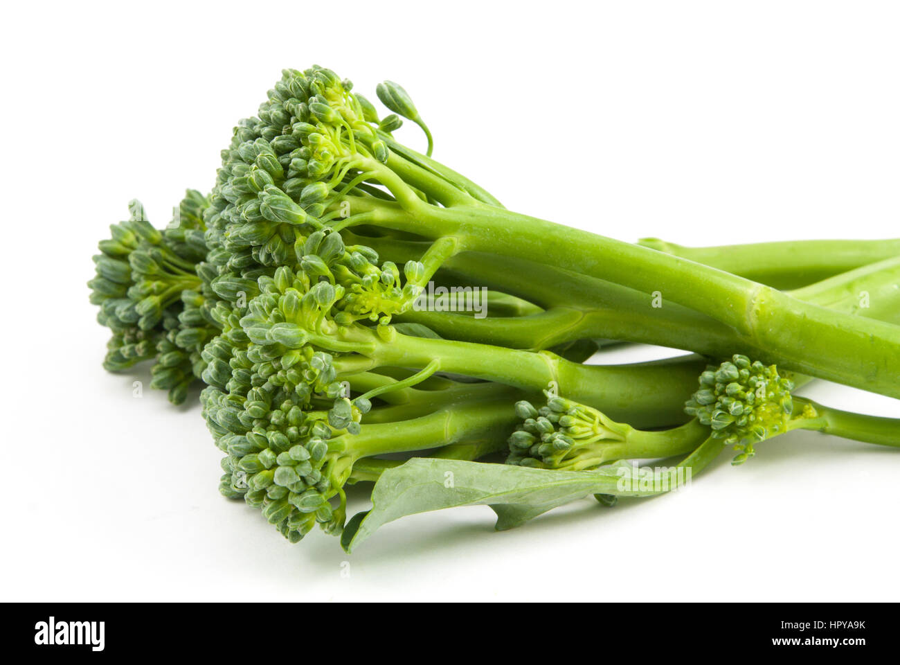broccolini baby broccoli isolated on white Stock Photo - Alamy
