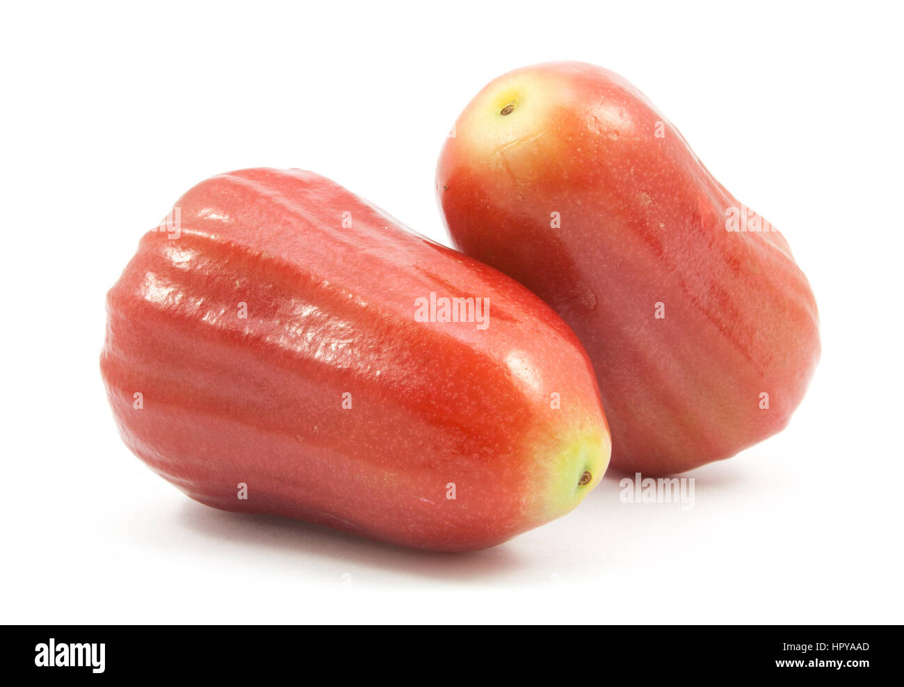 rose apple isolated on white background Stock Photo - Alamy