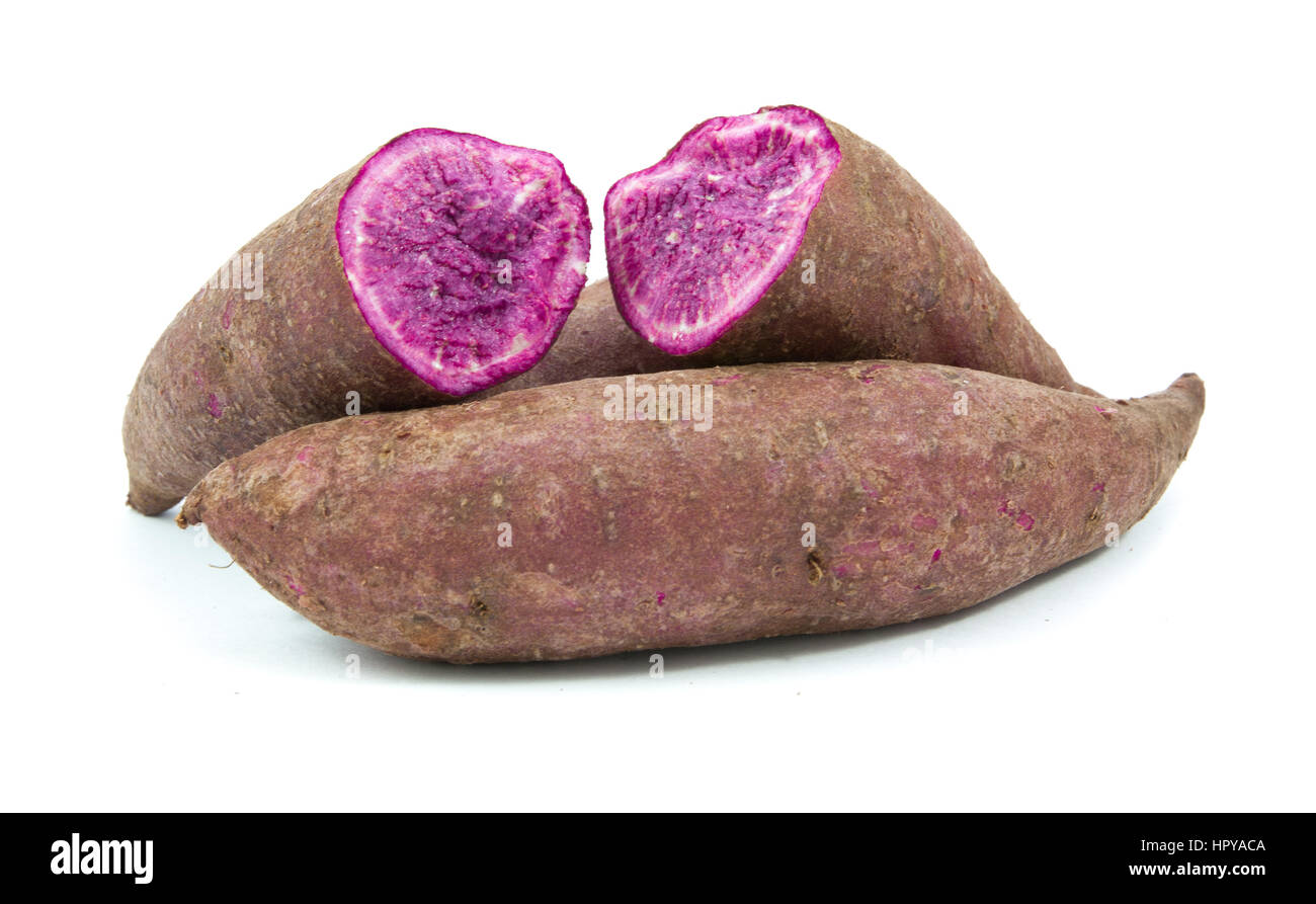tapioca plants cassava closeup isolated on white background Stock Photo ...