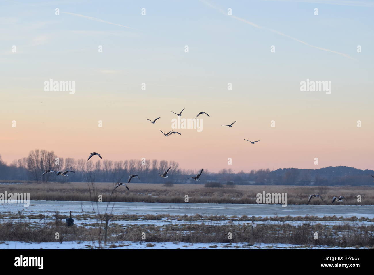 Gragaes hi-res stock photography and images - Alamy
