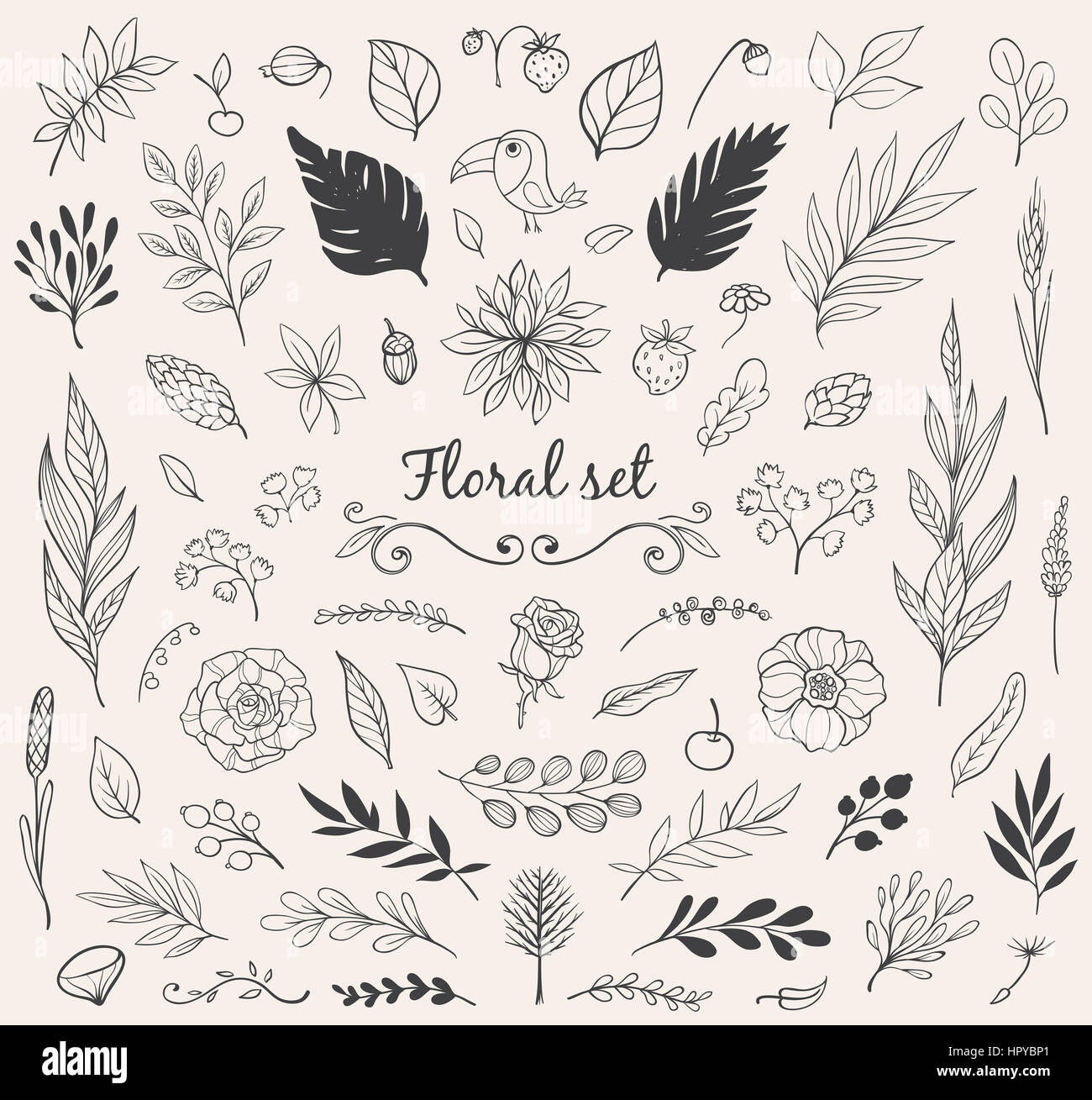 Set of hand drawn nature doodles. Decorative floral design elements ...