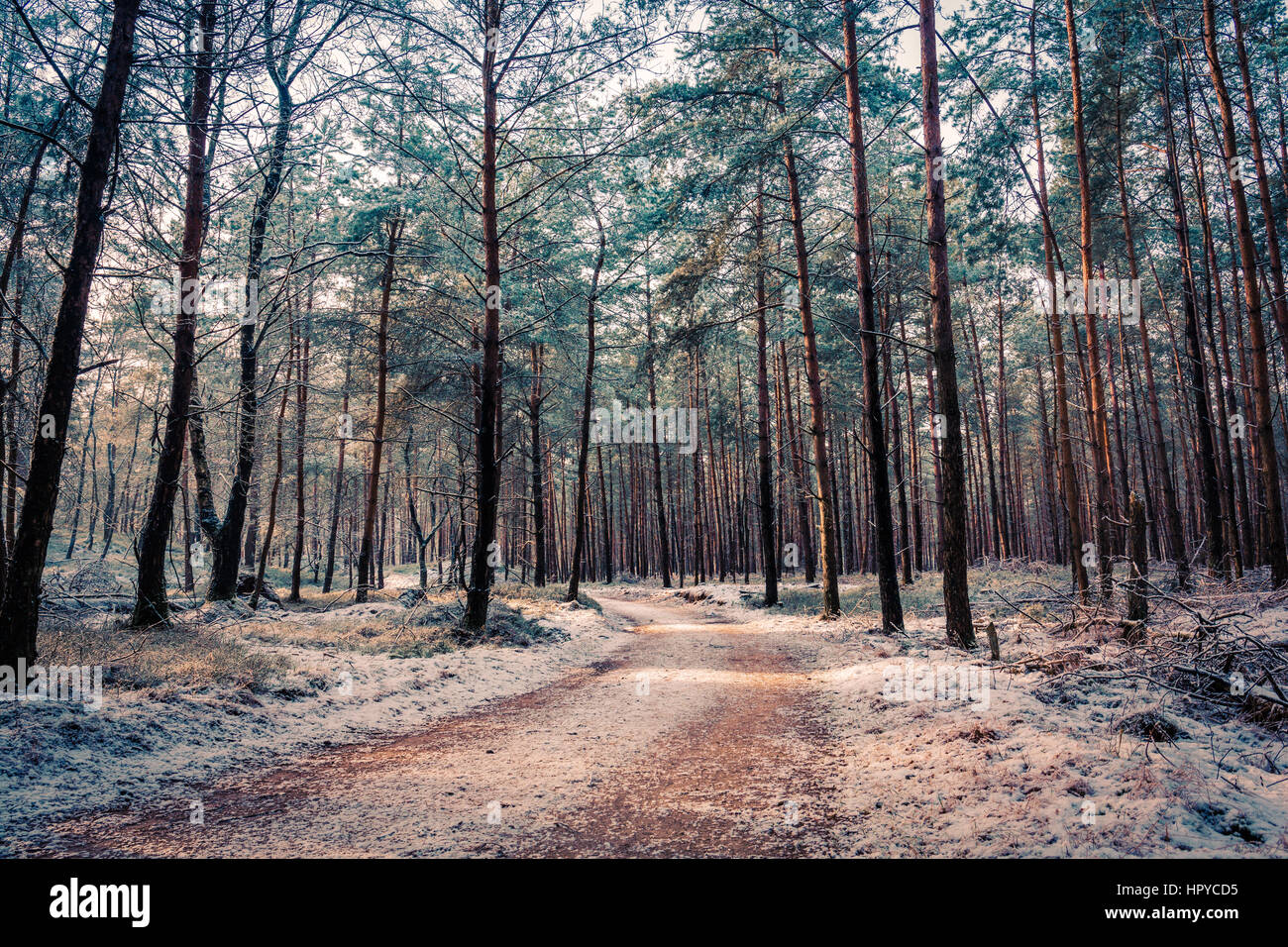 Mystical snow hi-res stock photography and images - Alamy