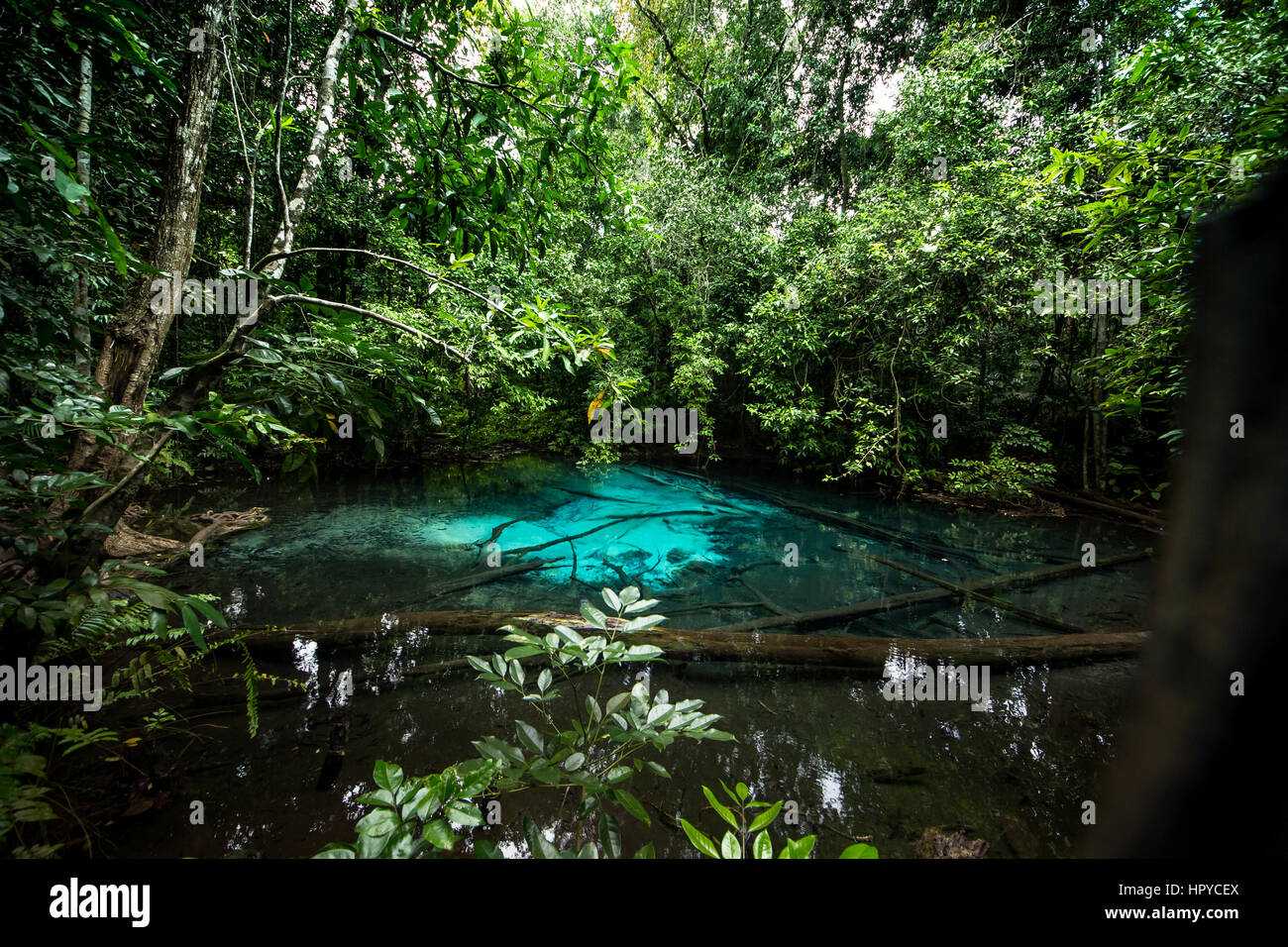 Emerald green pool hi-res stock photography and images - Alamy