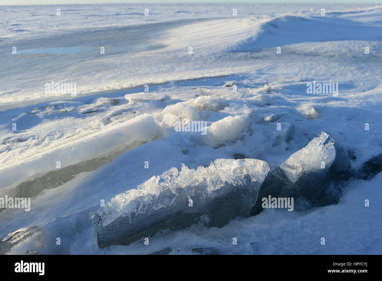 Ice Gulf of Finland lit by the morning sun Stock Photo - Alamy