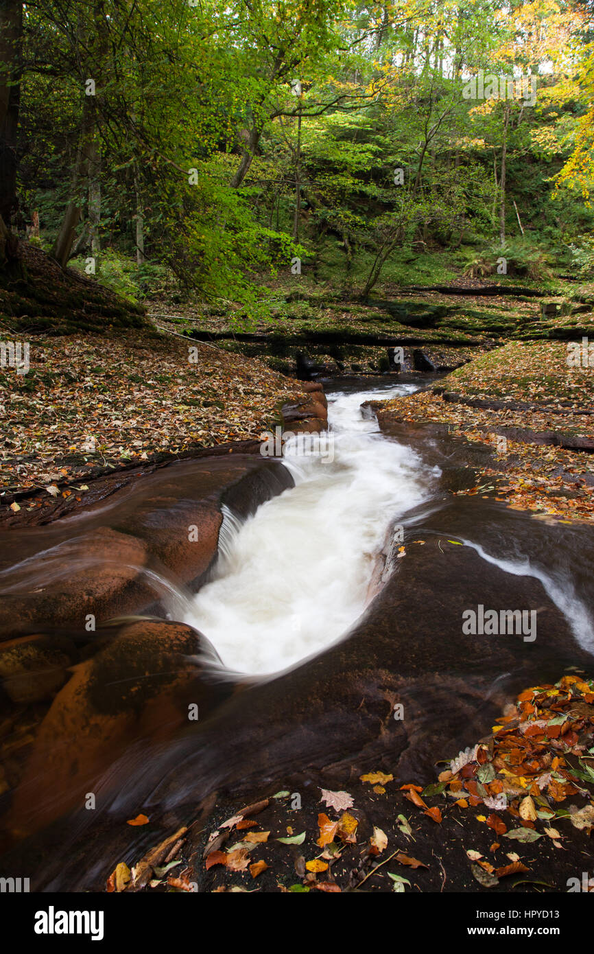 River gelt hi-res stock photography and images - Alamy
