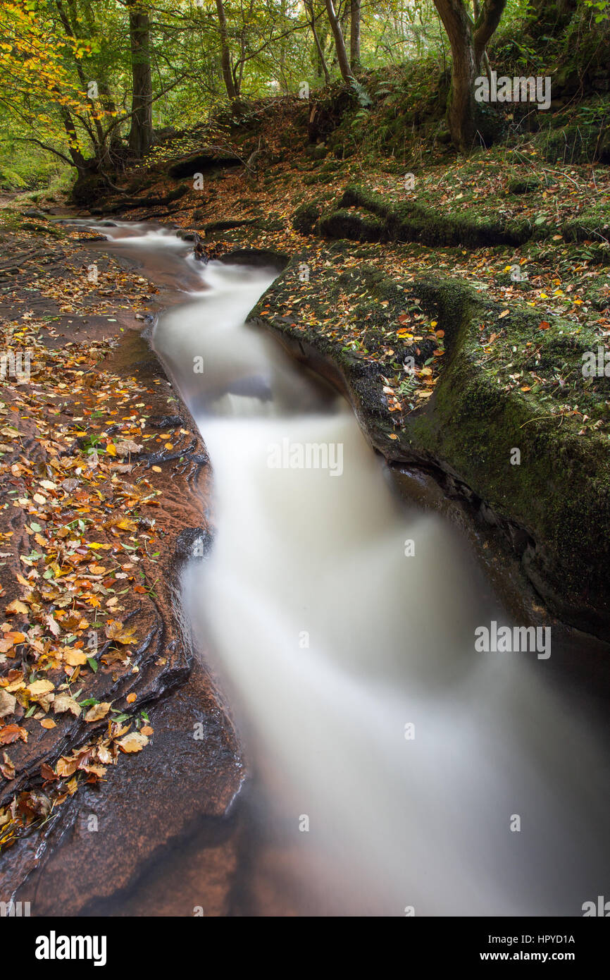 River and autumn leaves hi-res stock photography and images - Alamy