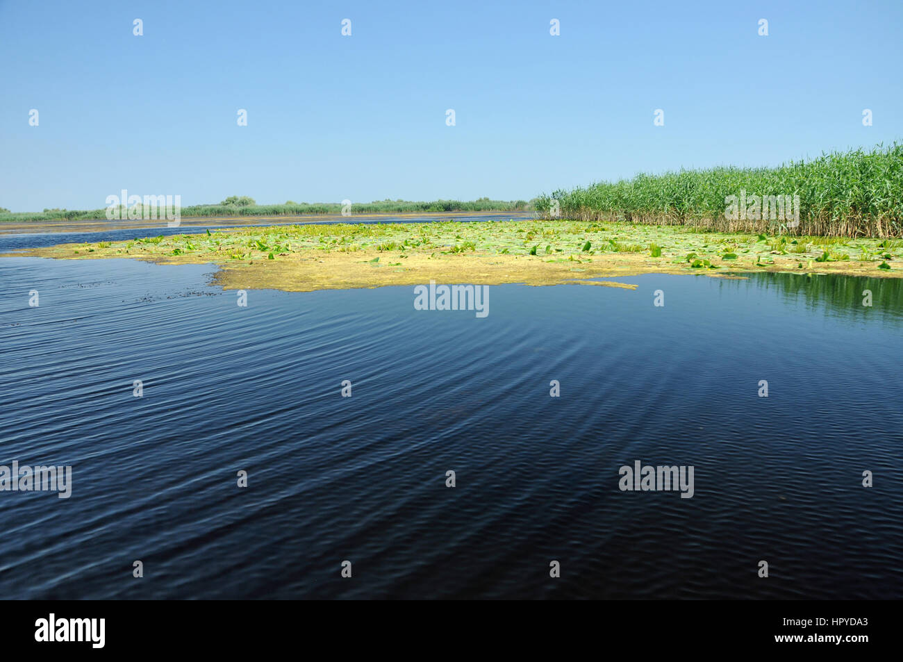 Danube delta. Water channel, lake and marsh. Romania Stock Photo - Alamy