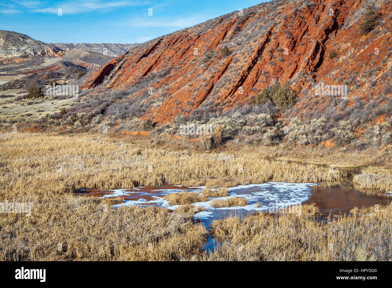 Sand Creek and swamp in Red Mountain Open Space, Colorado, winter ...