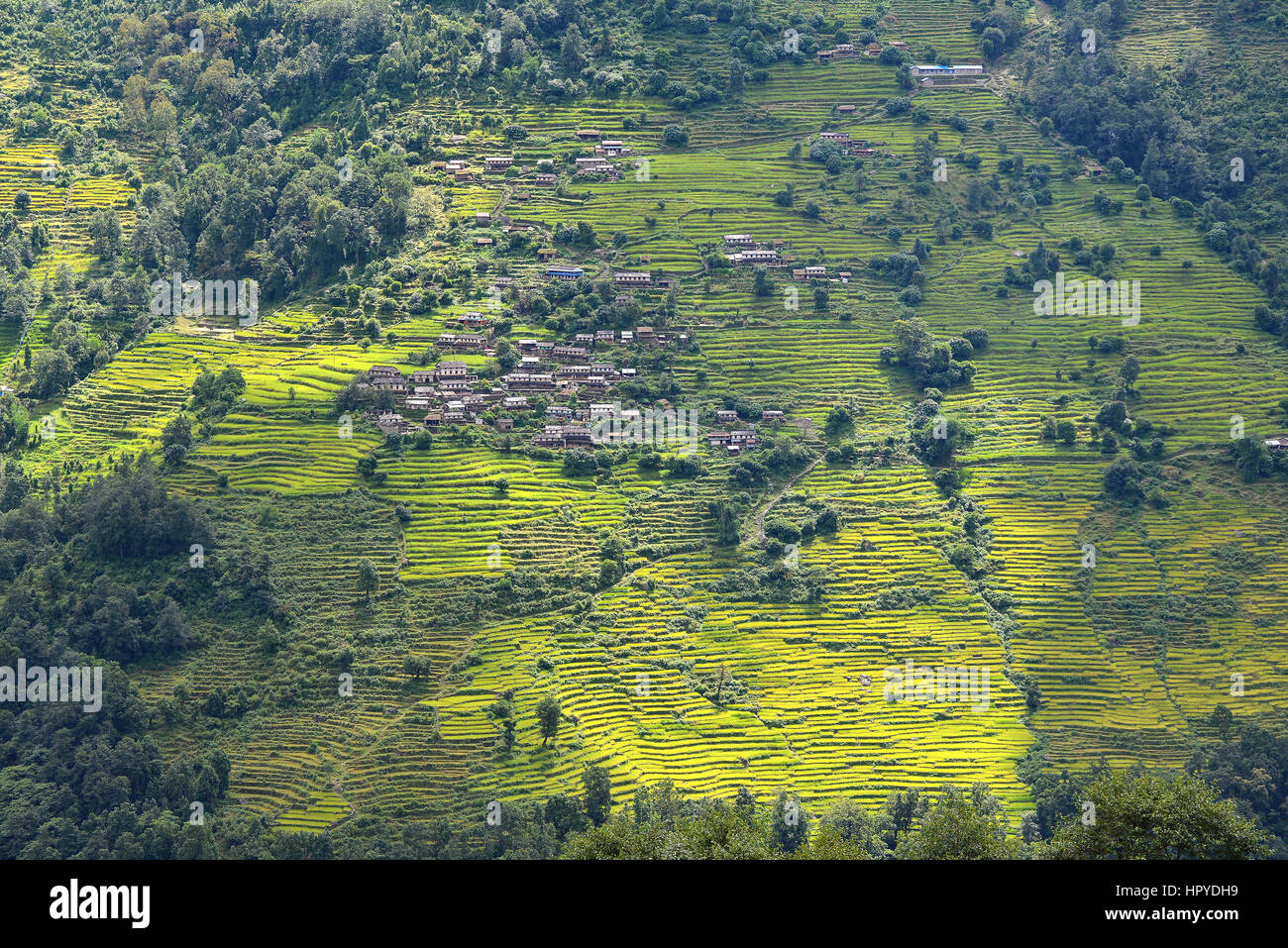 Nepal farming hi-res stock photography and images - Alamy