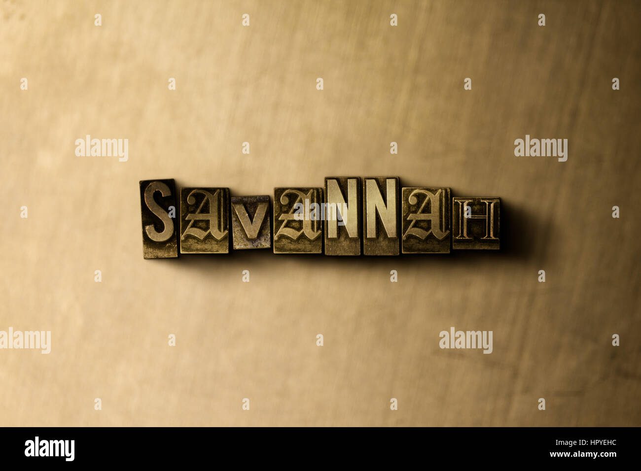 Savannah word hi-res stock photography and images - Alamy