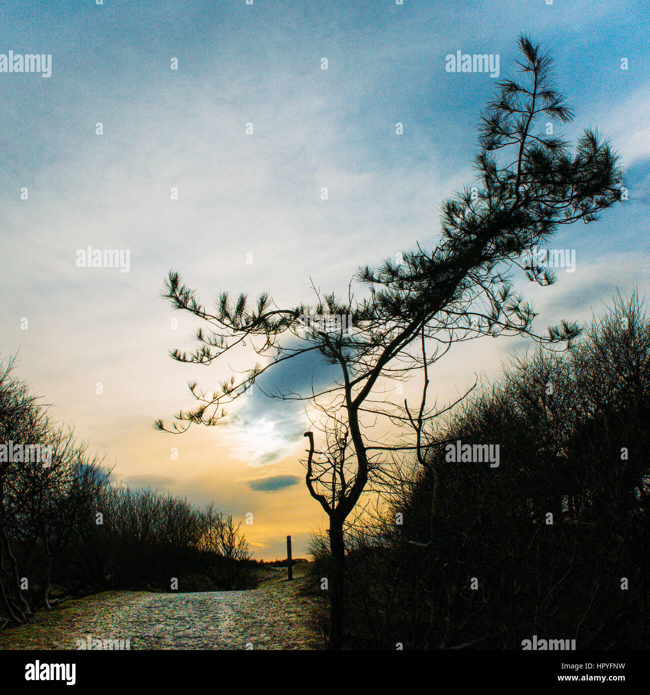 A Landscape Scene From Formby, Liverpool, Merseyside Stock Photo - Alamy