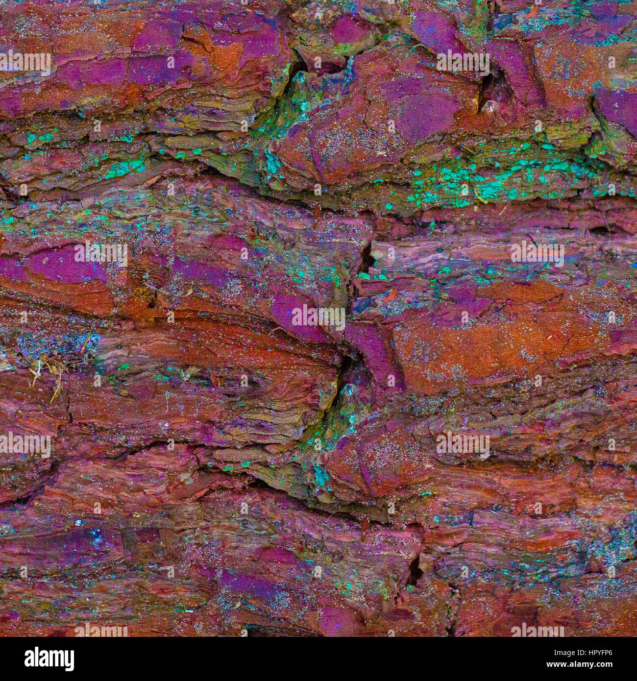 An Abstract Photo Of Tree Bark Stock Photo - Alamy