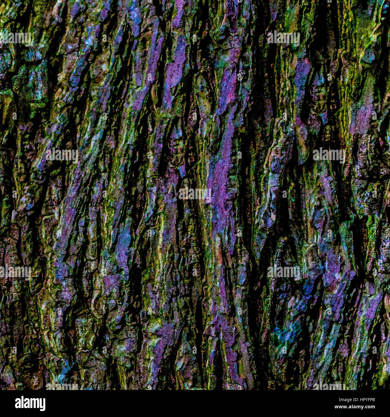 An Abstract Photo Of Tree Bark Stock Photo - Alamy