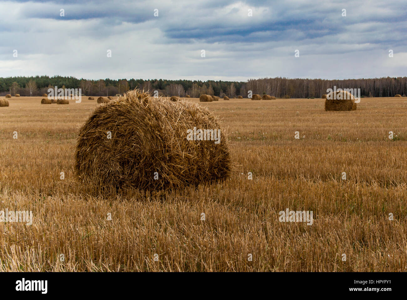 Straw stacks, Russia Stock Photo - Alamy
