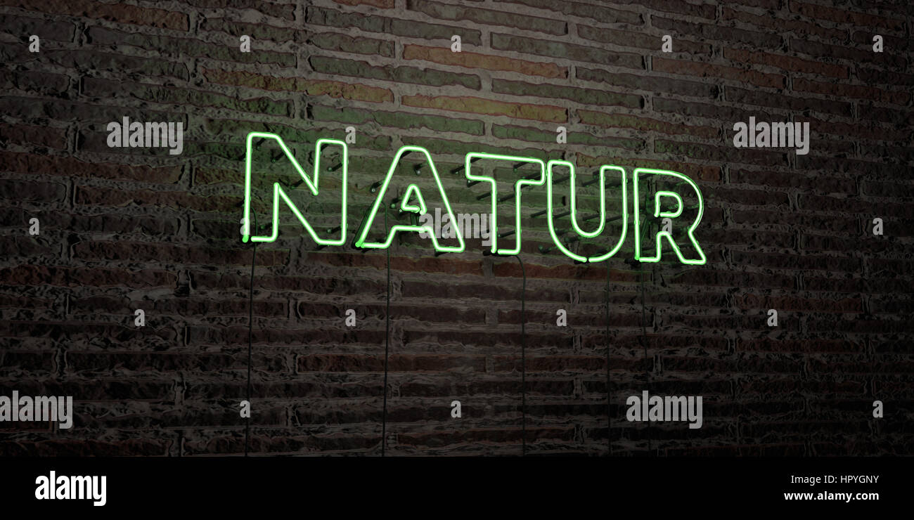NATUR -Realistic Neon Sign on Brick Wall background - 3D rendered ...