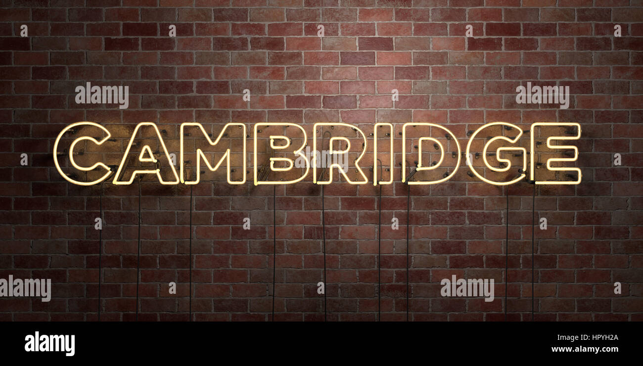 CAMBRIDGE - fluorescent Neon tube Sign on brickwork - Front view - 3D ...