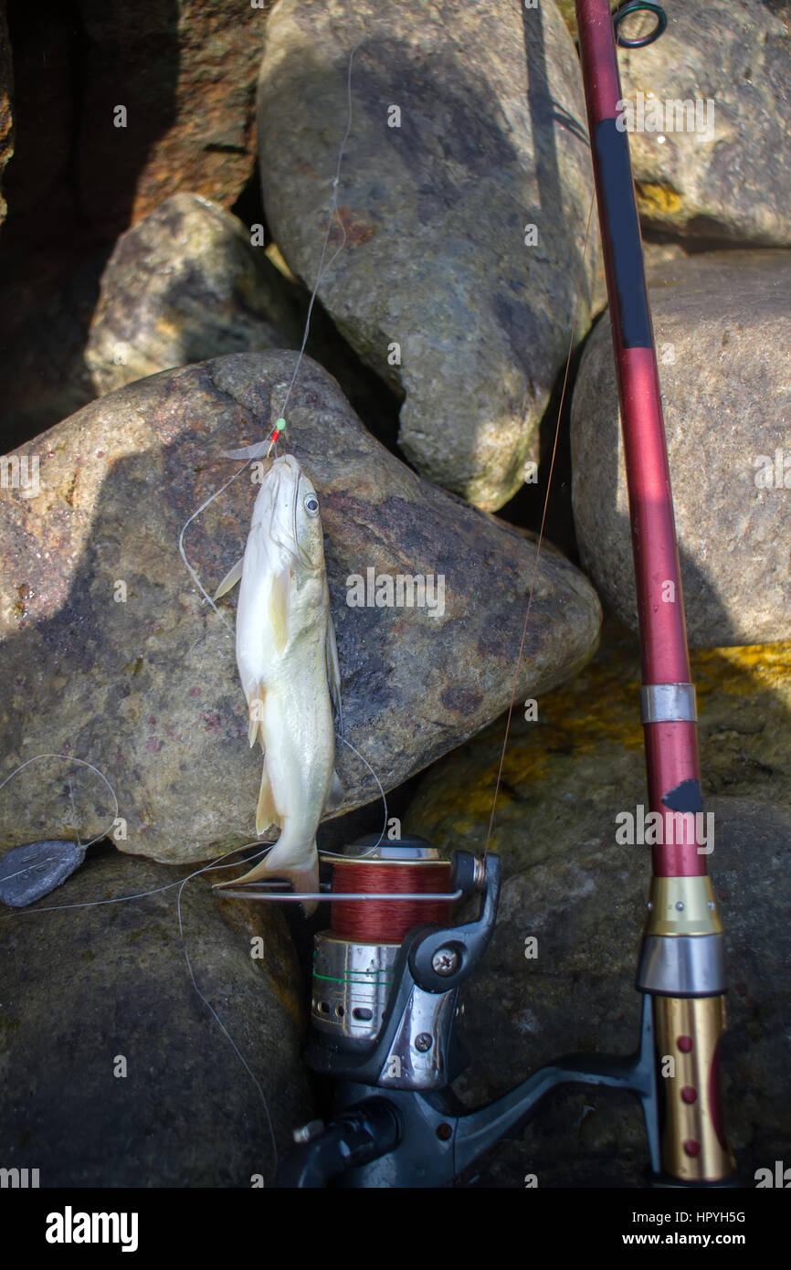 Fishing in india parvati fish hi-res stock photography and images - Alamy