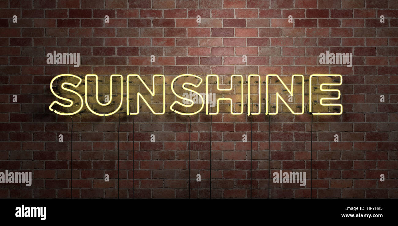 SUNSHINE - fluorescent Neon tube Sign on brickwork - Front view - 3D ...