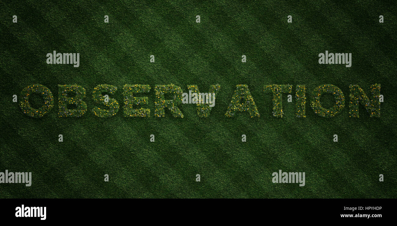 OBSERVATION - fresh Grass letters with flowers and dandelions - 3D ...