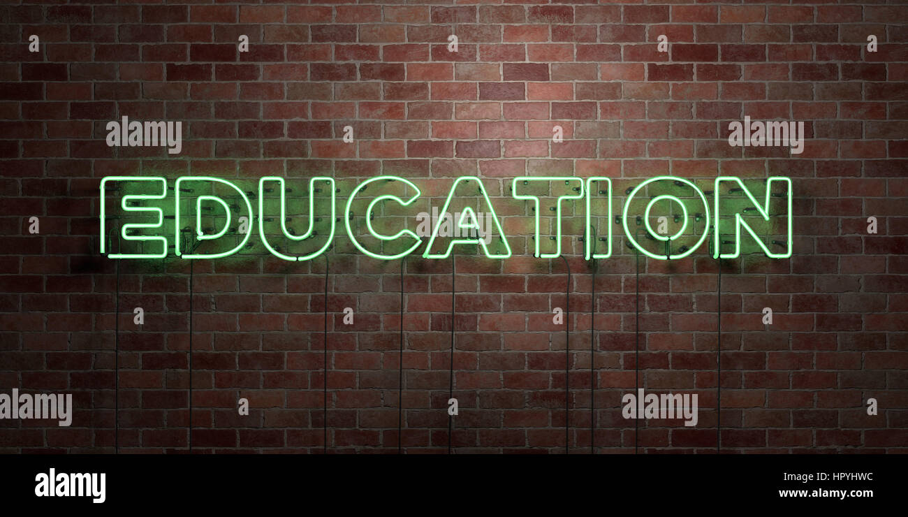 EDUCATION - fluorescent Neon tube Sign on brickwork - Front view - 3D ...