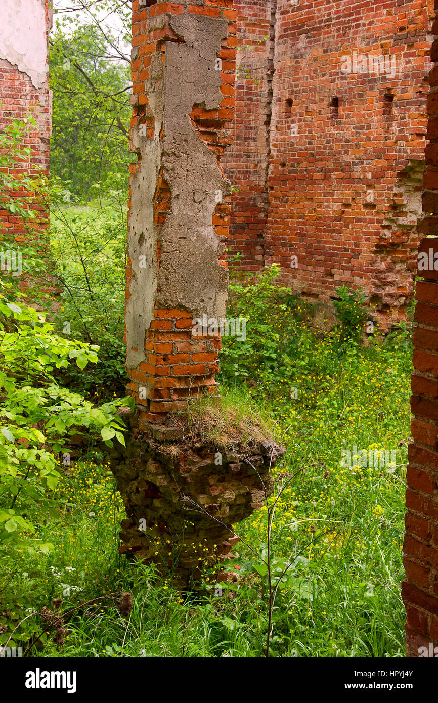 Sense of nostalgia: picturesque ruins of century aristocratic estates ...