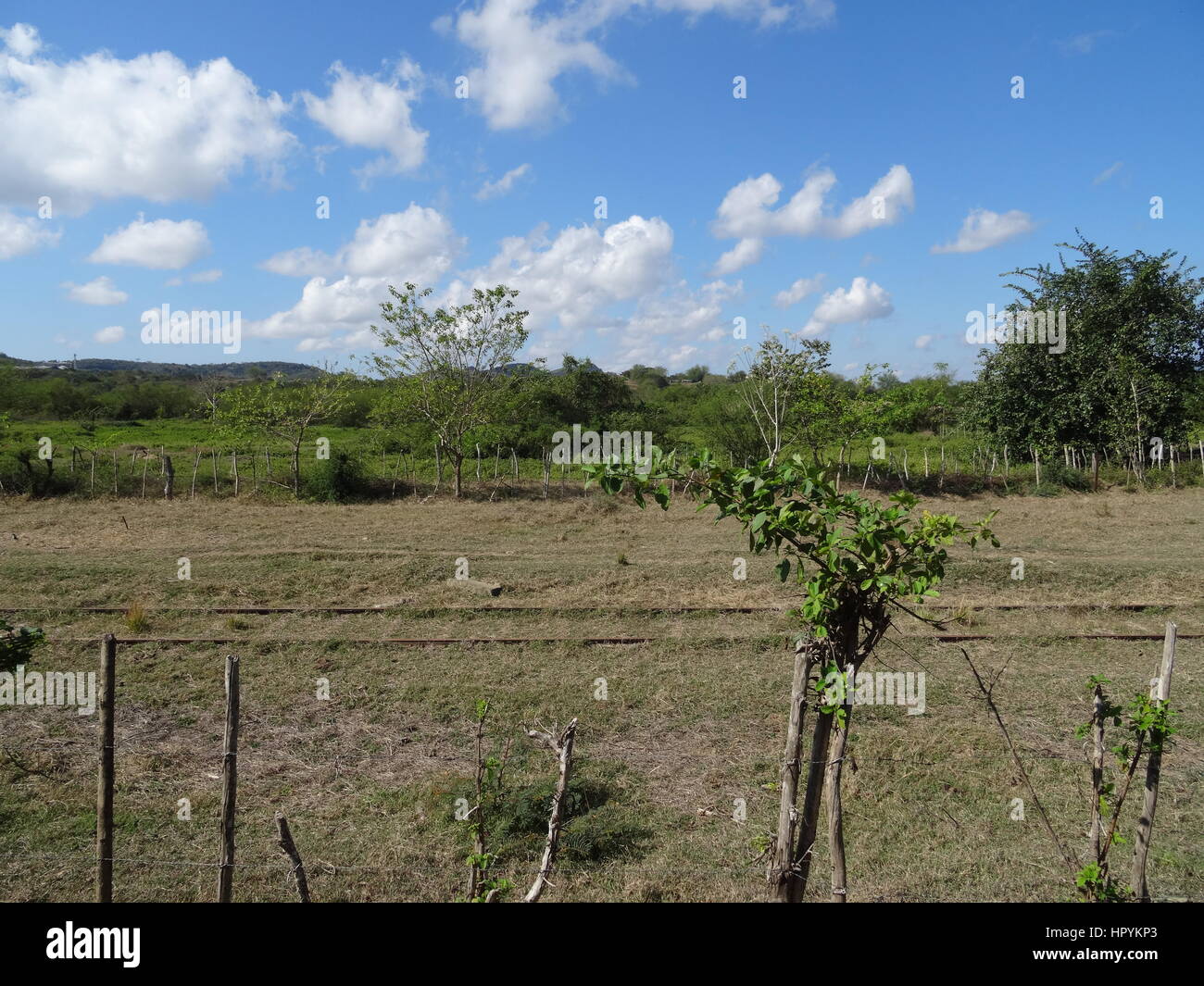 Cuban countryside landscape from the Valle de los Ingenios near ...
