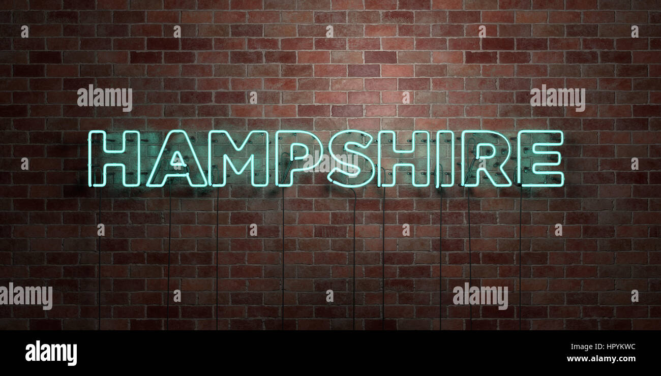HAMPSHIRE - fluorescent Neon tube Sign on brickwork - Front view - 3D ...