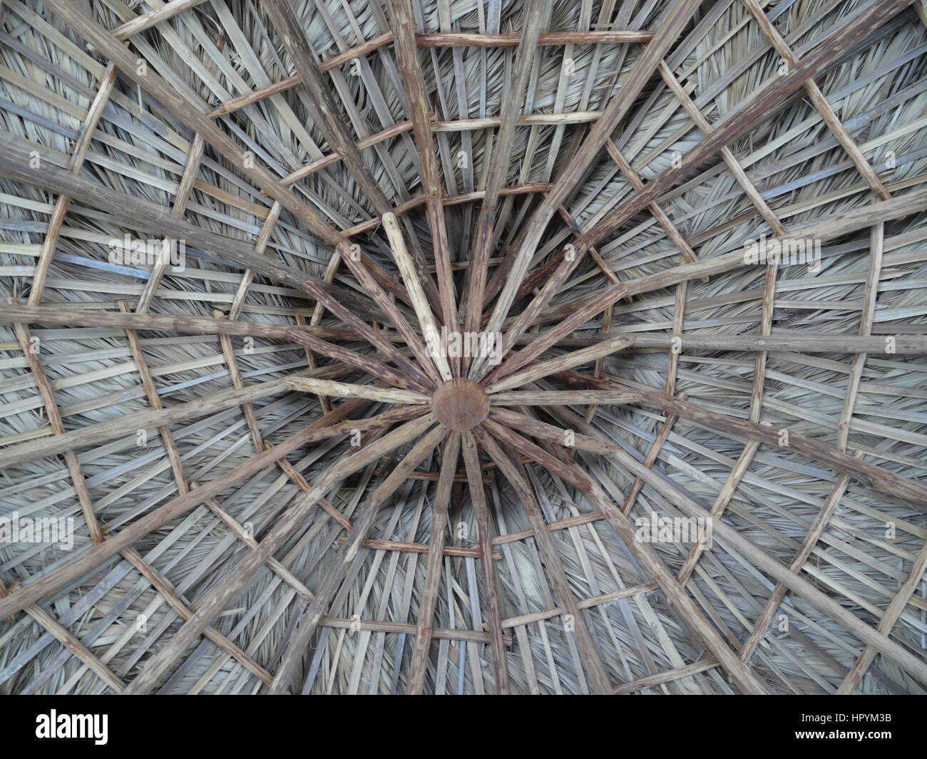 Tropical straw roof hut hi-res stock photography and images - Alamy
