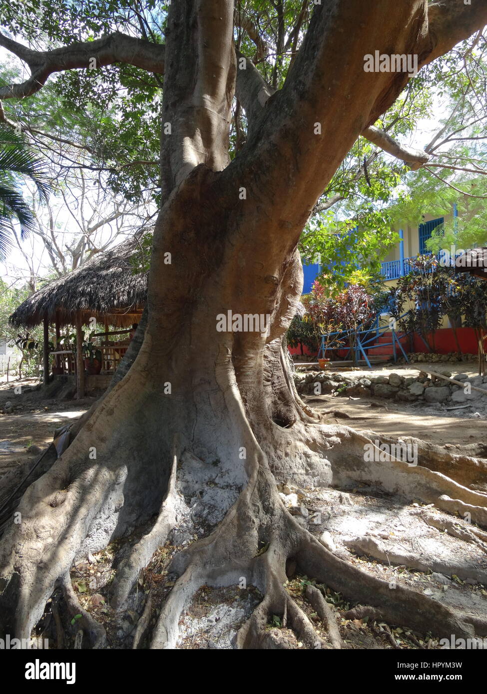 Cuban hacienda hi-res stock photography and images - Alamy