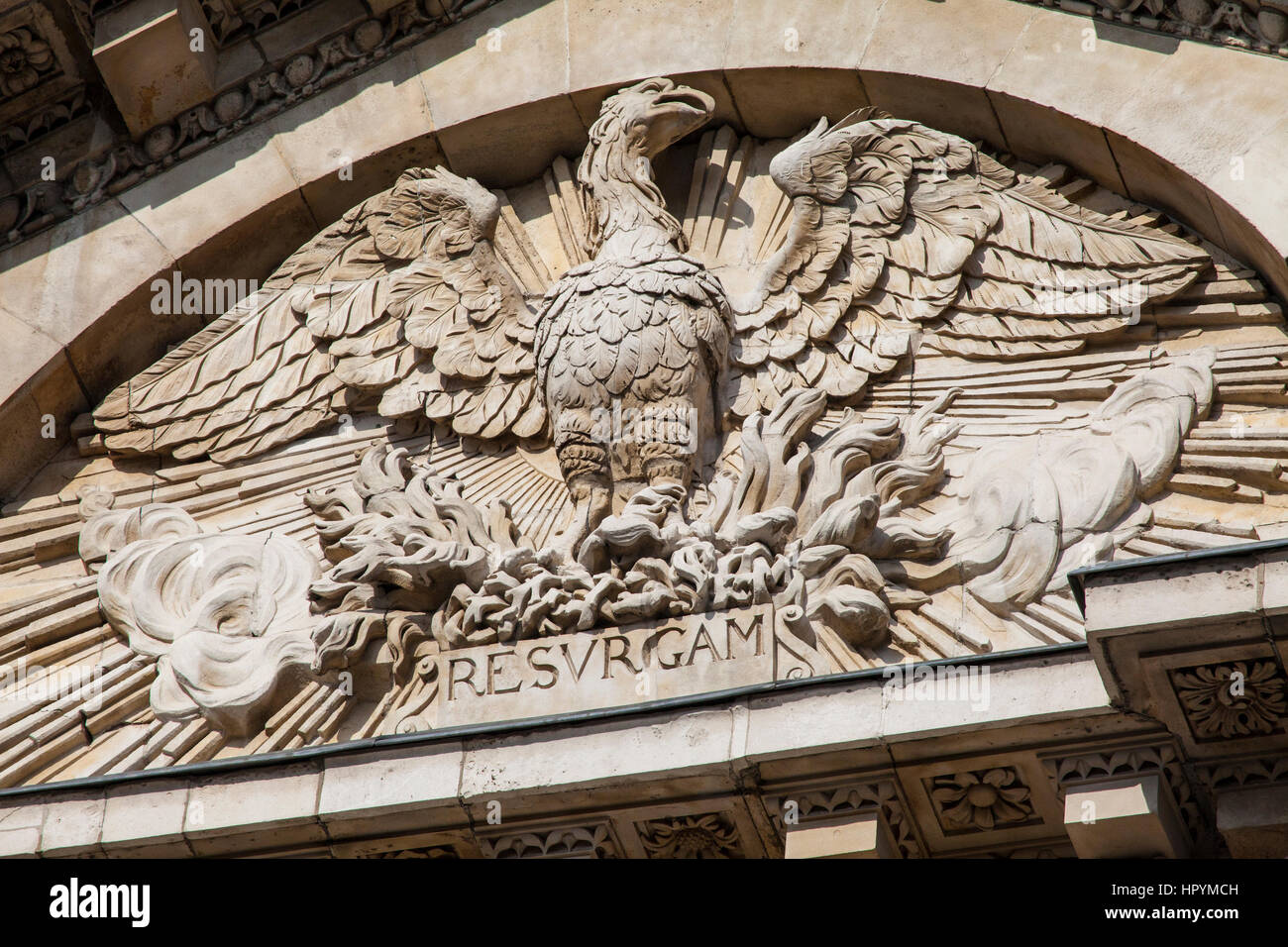 Phoenix rising from ashes hi-res stock photography and images - Alamy