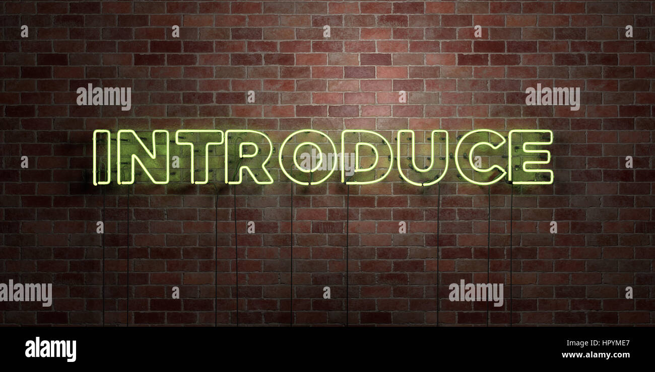 INTRODUCE - fluorescent Neon tube Sign on brickwork - Front view - 3D ...