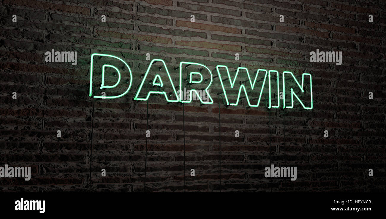 DARWIN -Realistic Neon Sign on Brick Wall background - 3D rendered ...