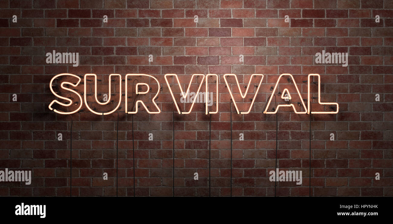 SURVIVAL - fluorescent Neon tube Sign on brickwork - Front view - 3D ...