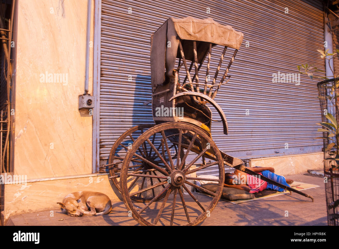 Rickshaws pullers hi-res stock photography and images - Alamy