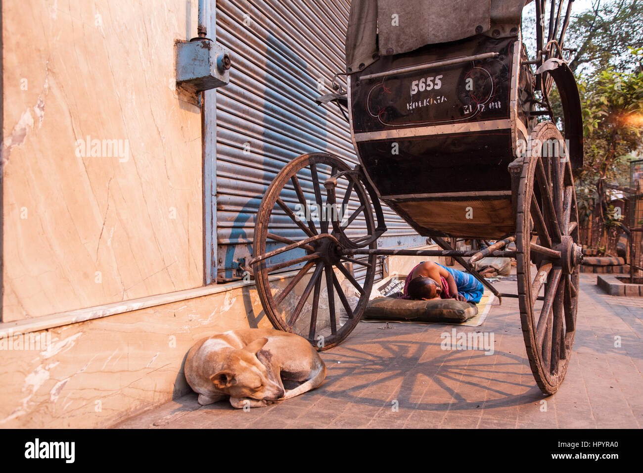 Rickshaws pullers hi-res stock photography and images - Alamy