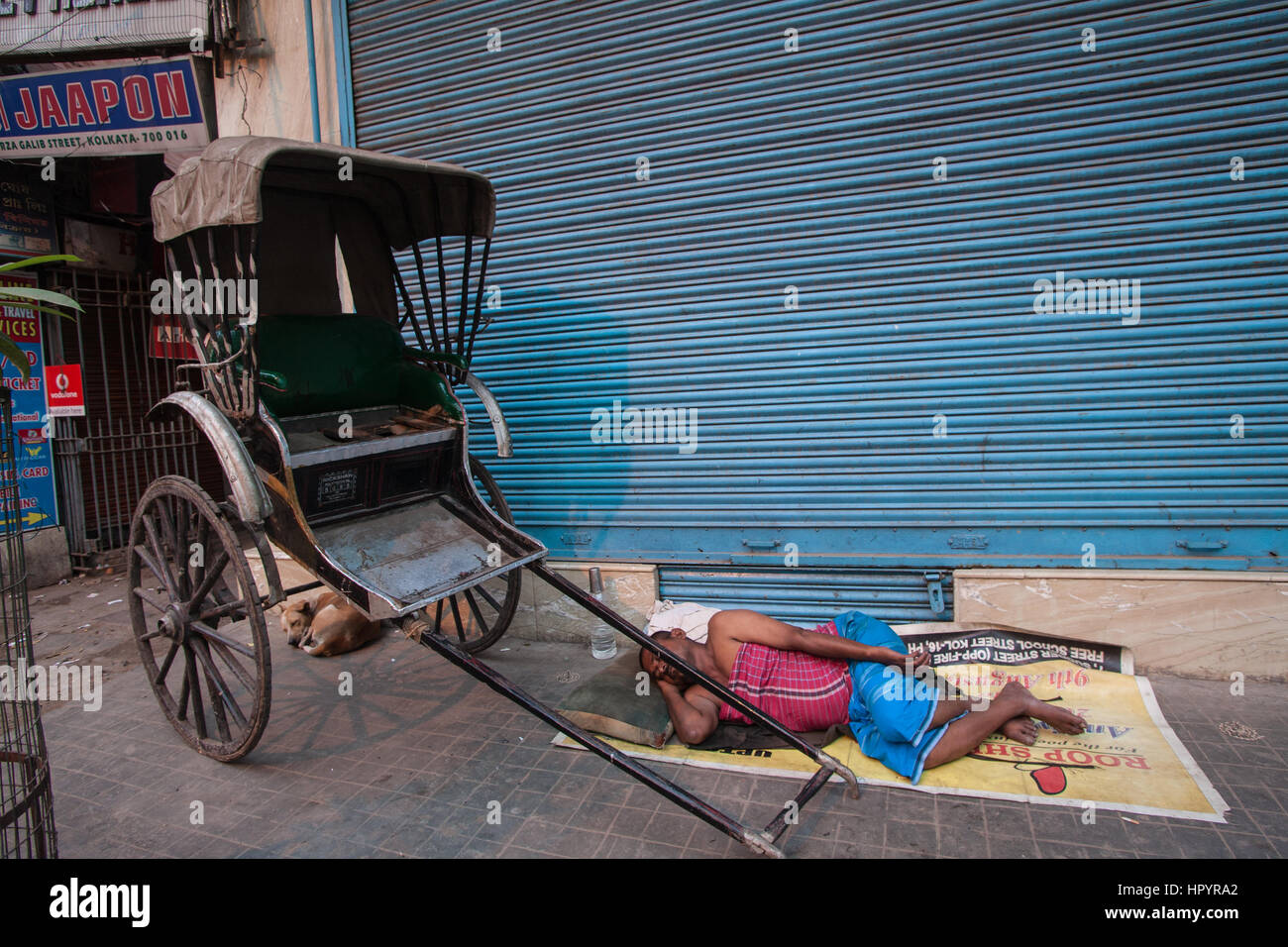 India dog sleep indian hi-res stock photography and images - Alamy