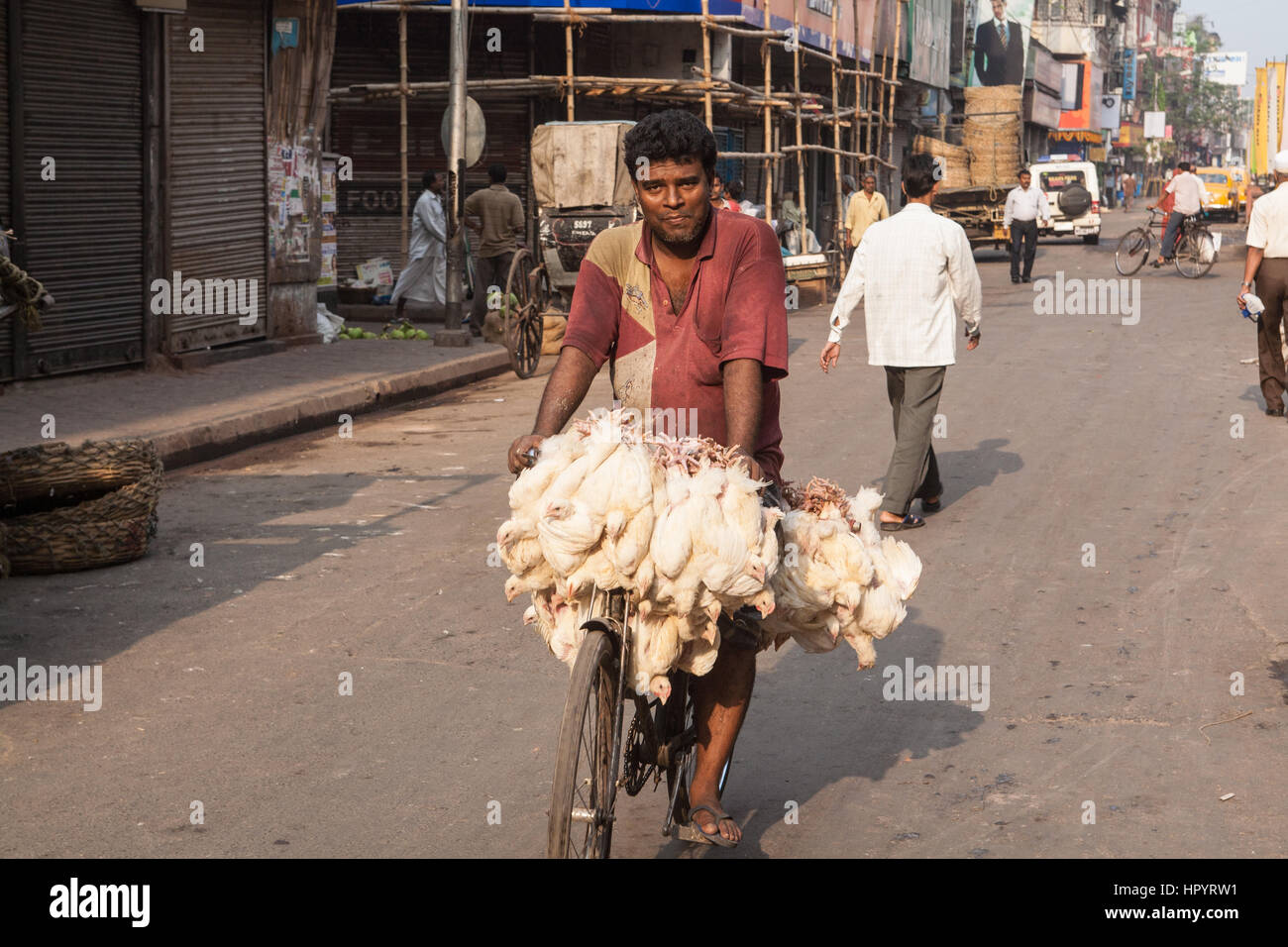Chicken india alive hi-res stock photography and images - Alamy