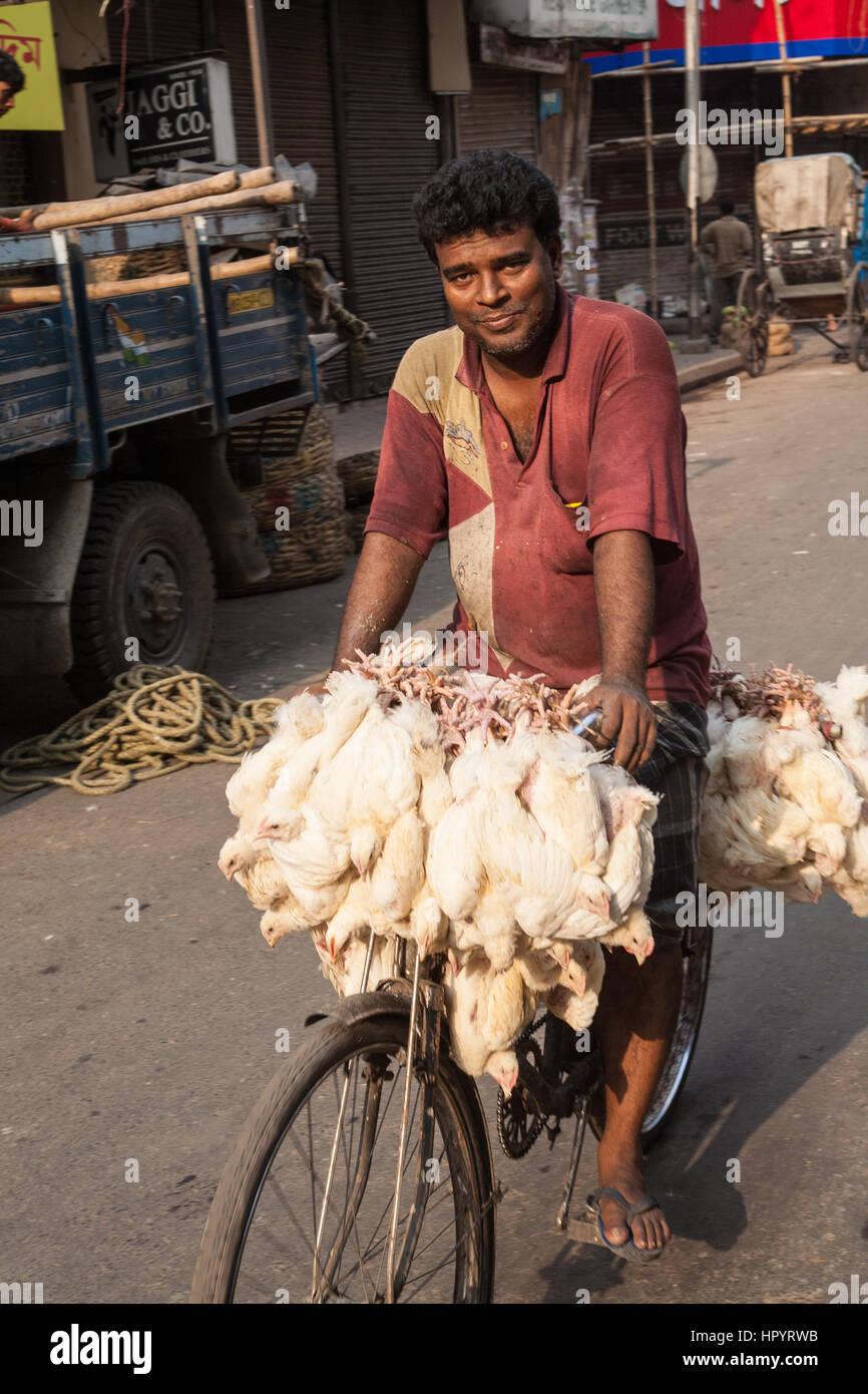 Indian chickens hi-res stock photography and images - Alamy