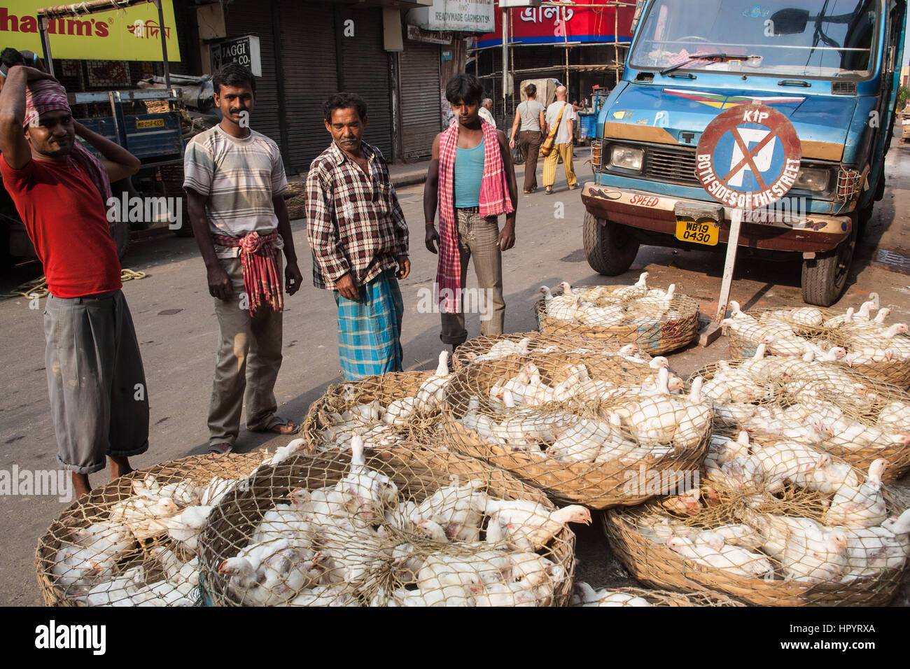 Chicken suffer hi-res stock photography and images - Alamy