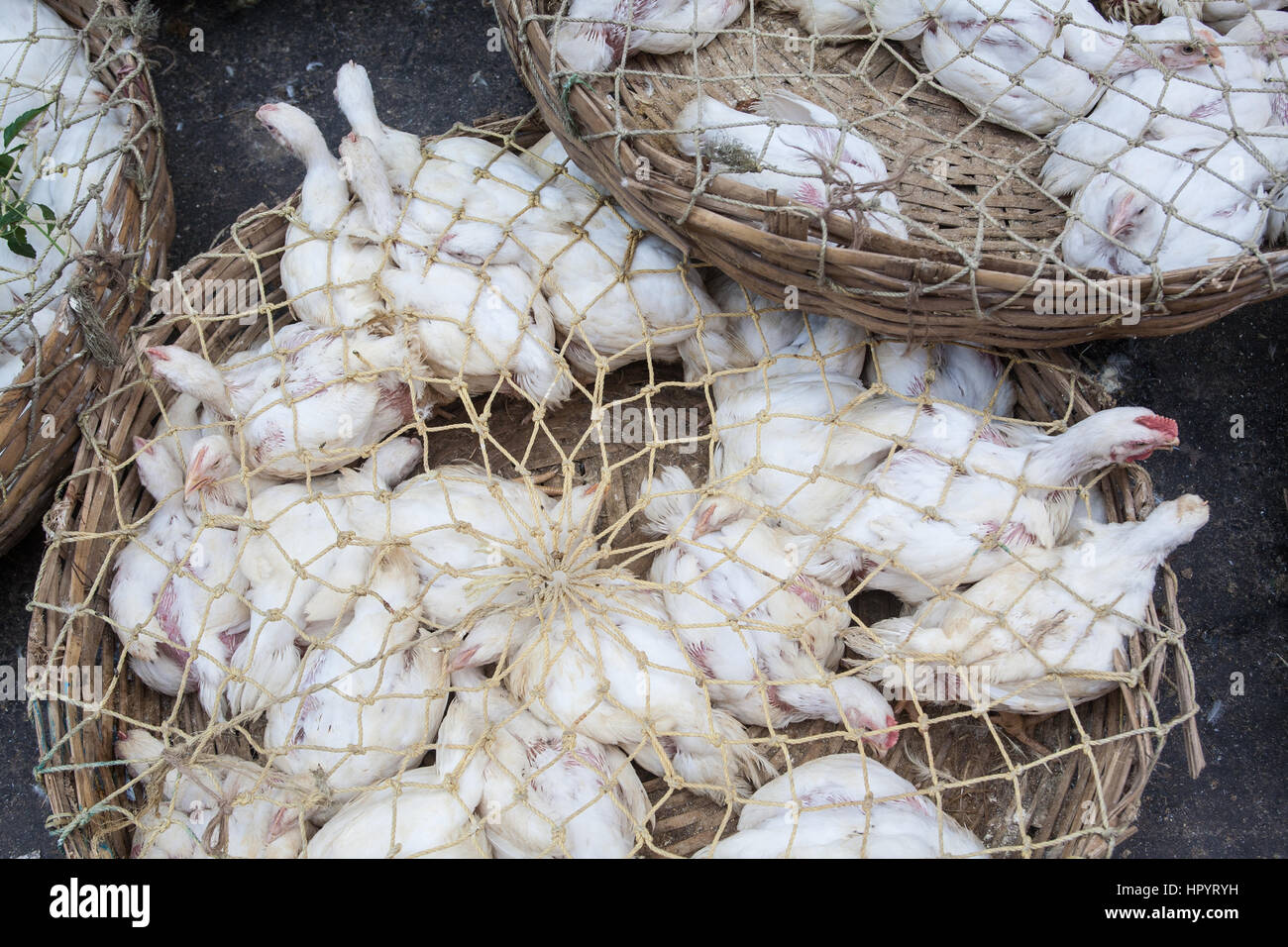 Chicken market live asia hi-res stock photography and images - Alamy