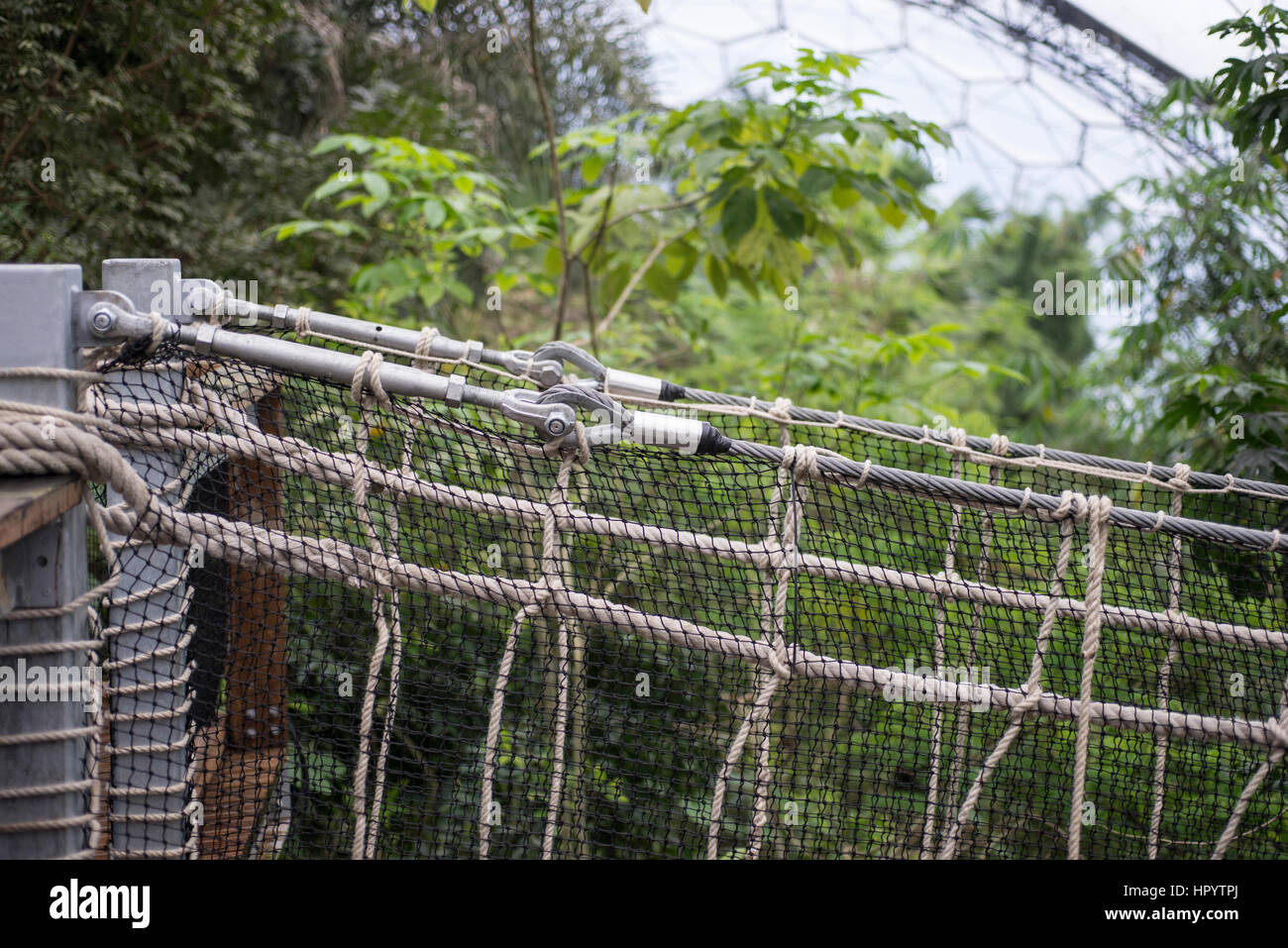 The rope bridge in the rainforest, Eden Project, Cornwall Stock Photo ...