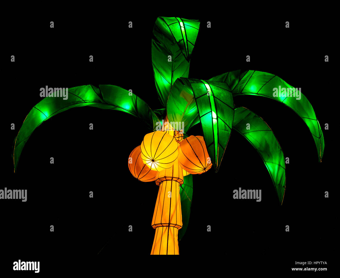 Chinese lantern tree hi-res stock photography and images - Alamy