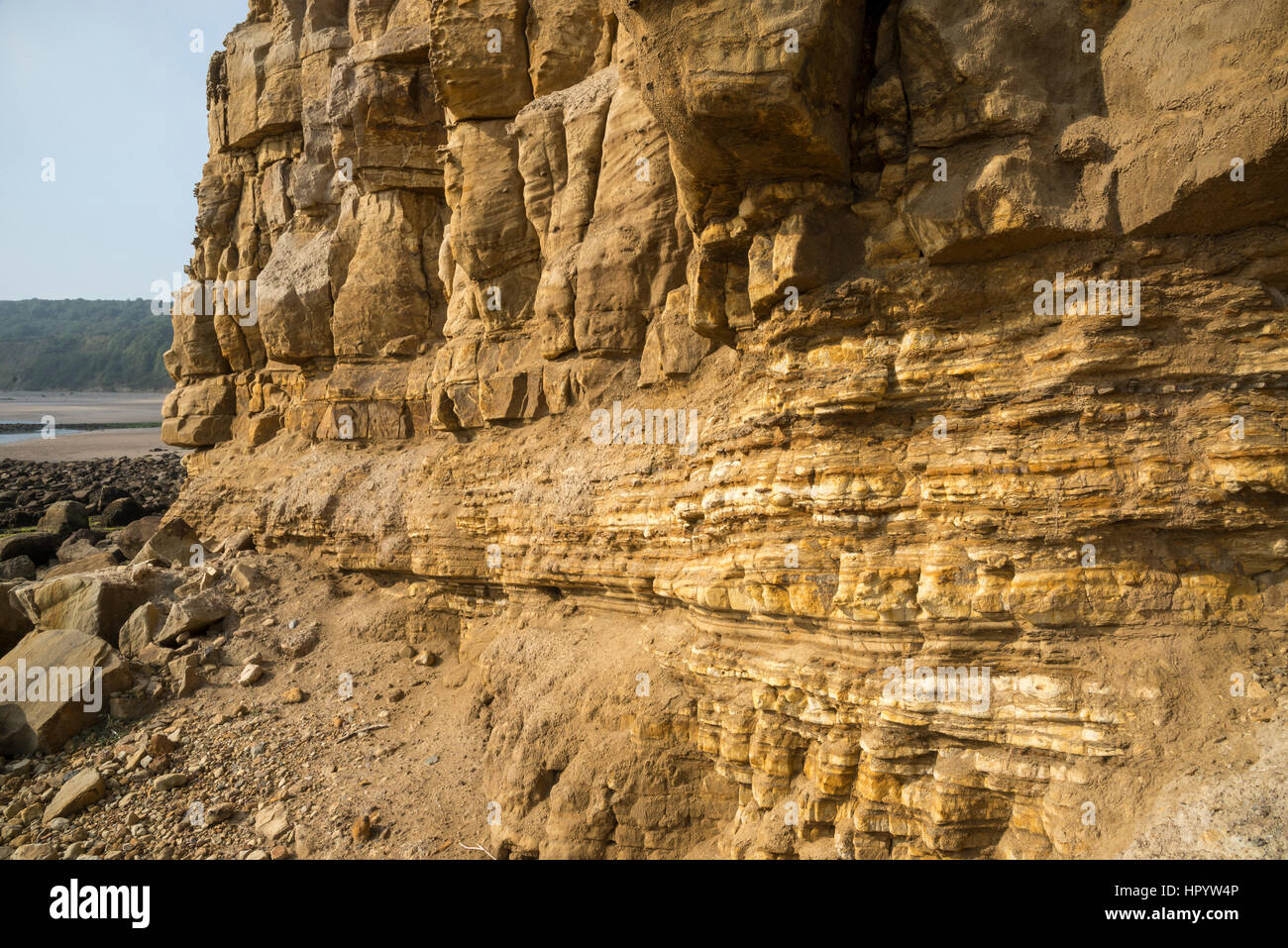 Warm coloured rocks at Knipe point, Cayton bay, North Yorkshire. An ...