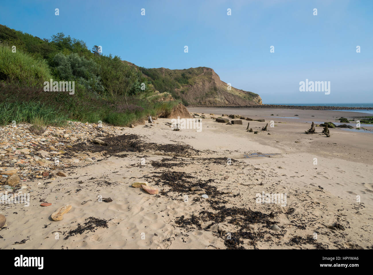 Beach at Cayton bay near Scarborough, North Yorkshire, England Stock ...