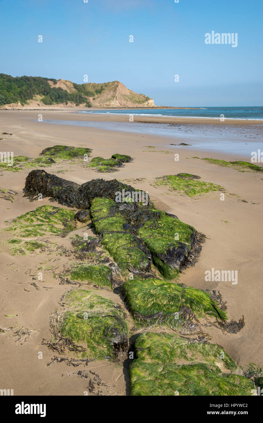 Johnny flintons harbour hi-res stock photography and images - Alamy