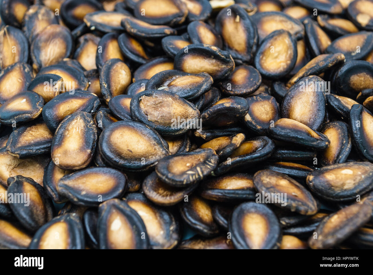 Dried watermelon seed hi-res stock photography and images - Alamy