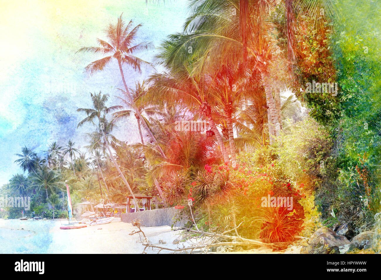 Photos landscape exotic coast of the island with palm trees Stock Photo ...