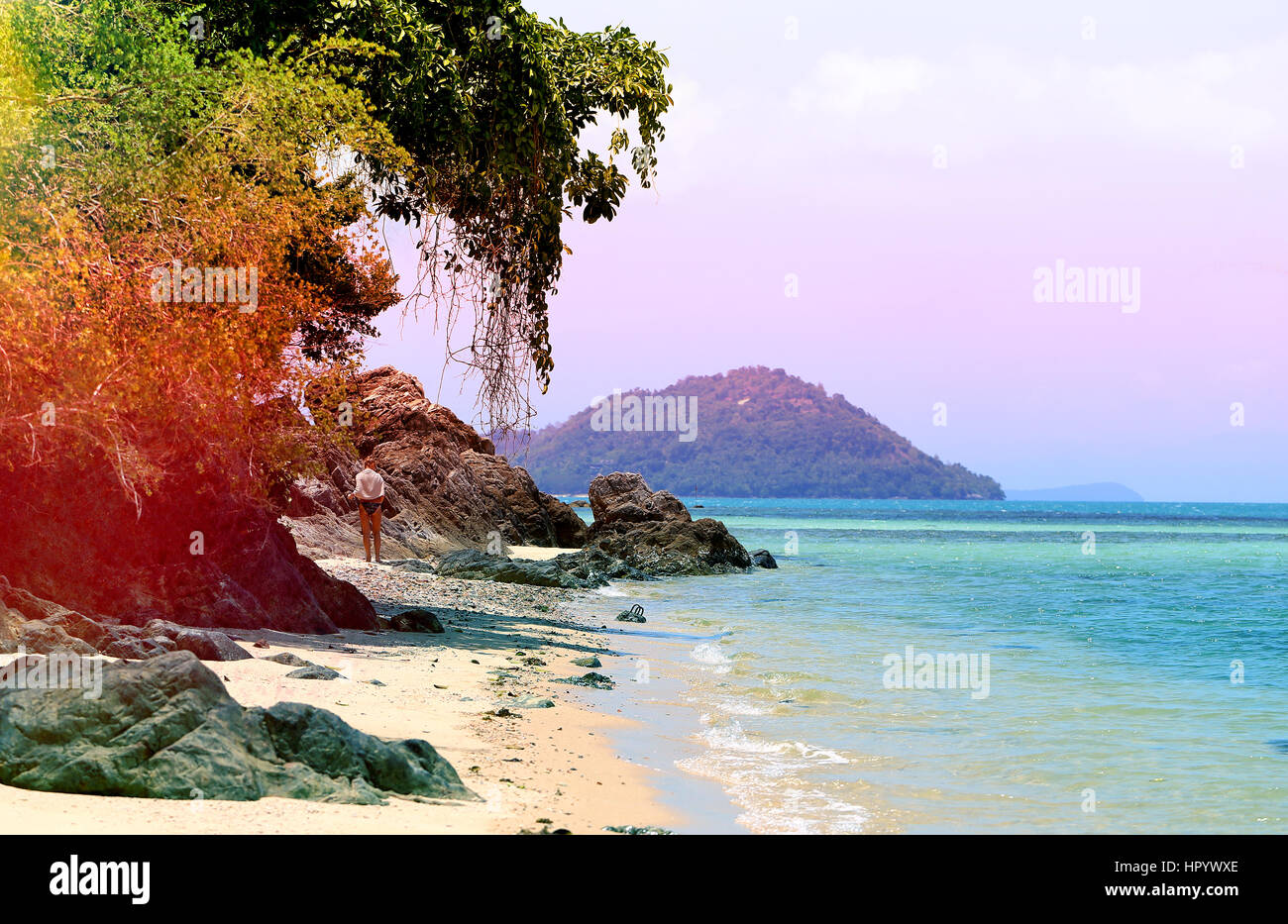 Photos landscape exotic coast of the island with palm trees Stock Photo ...